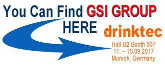 GSI Group