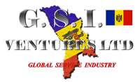 GSI Group